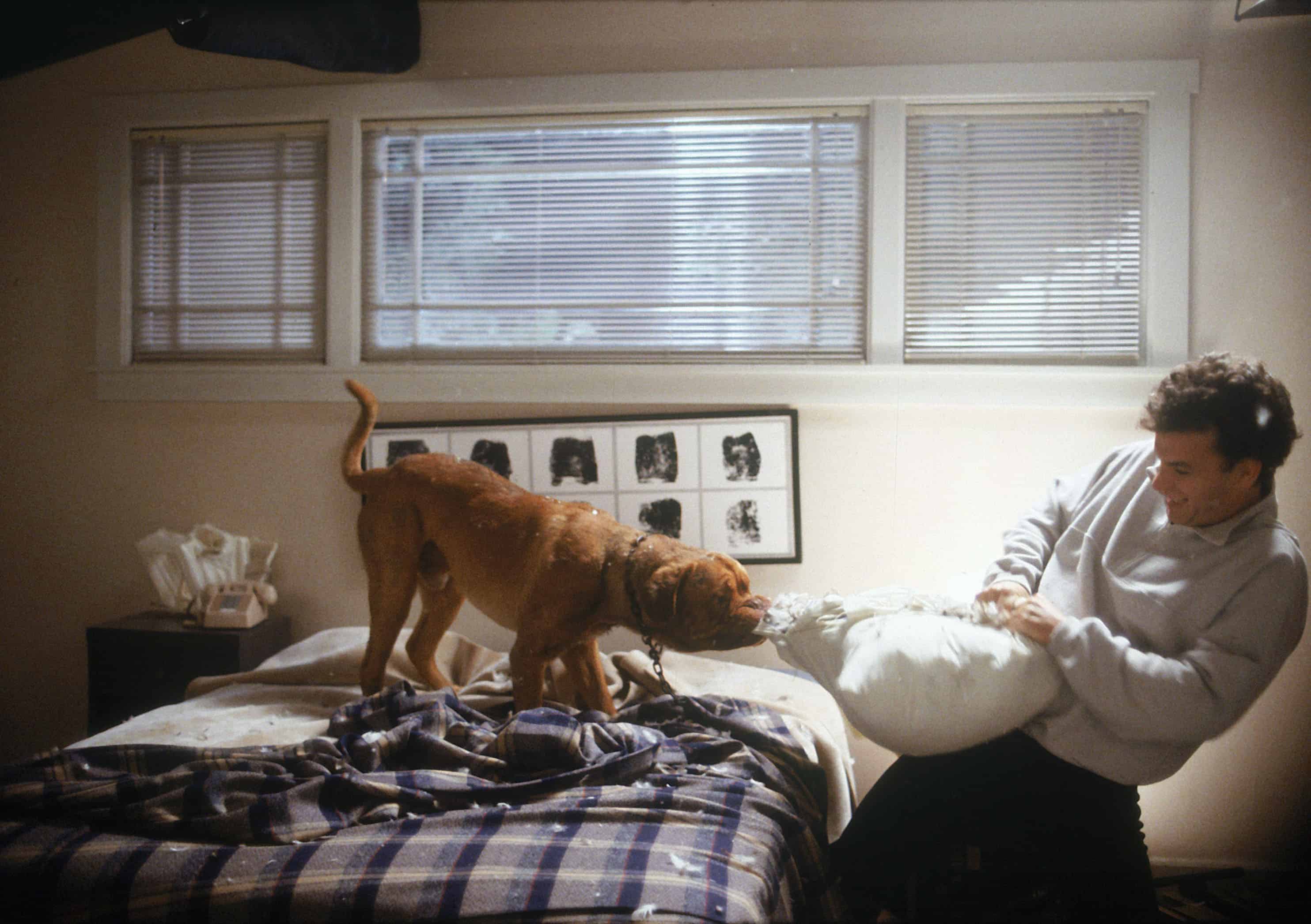Turner & Hooch: the quiet reason the film matters | Film Stories
