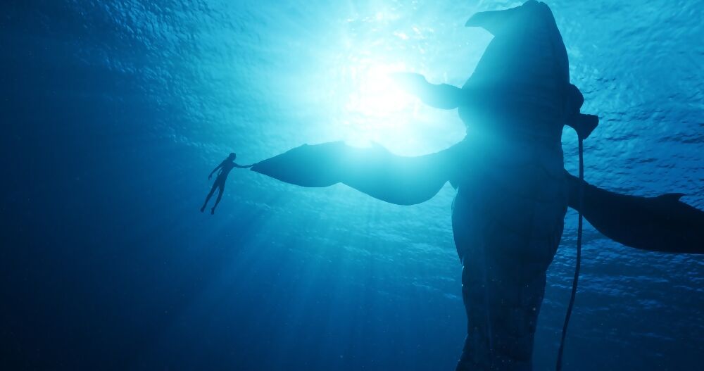 Avatar: The Way Of Water and the high frame rate debate | Film Stories