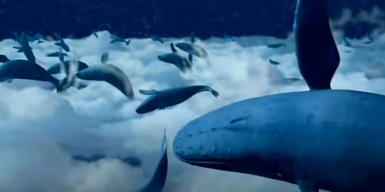 Fantasia 2000 | The story of the first IMAX feature film | Film Stories