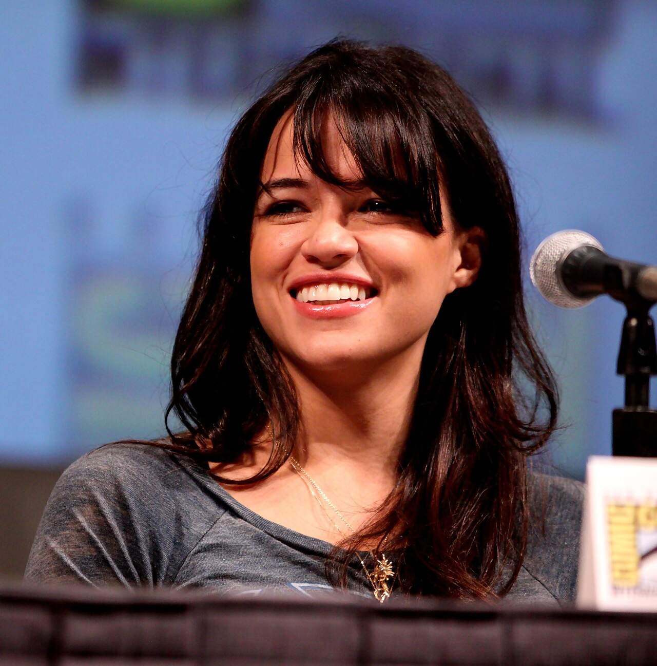 Michelle Rodriguez to star in Left Seat, a thriller from the director ...